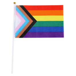 Progress Pride Hand Held Flag 22 x 15cm Gay Pride Festival Flag